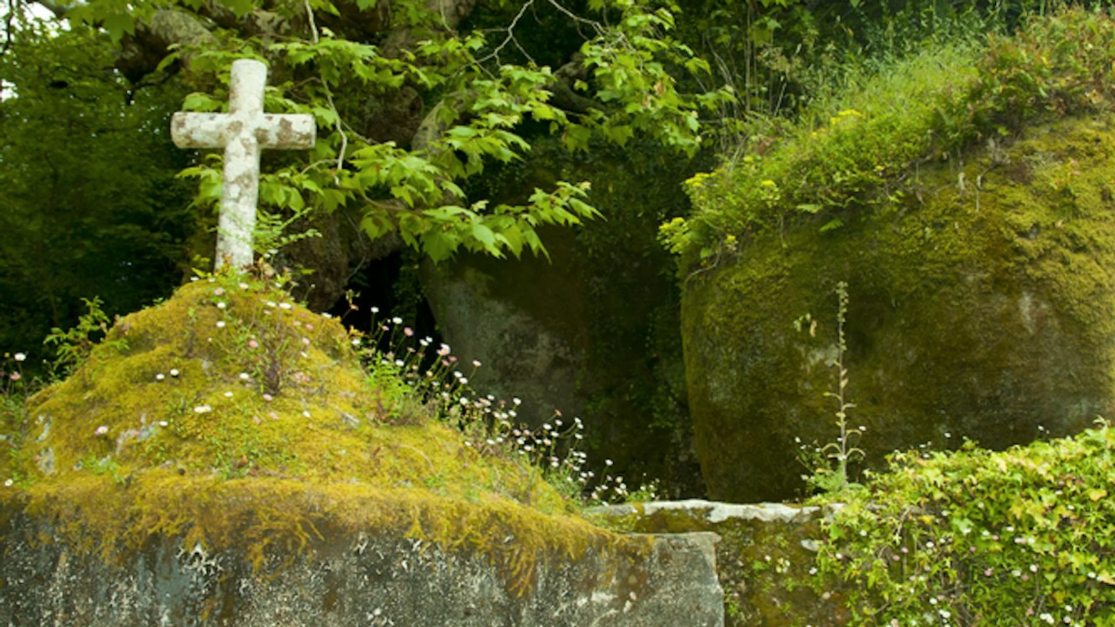 Tiket Convent of the Capuchos in Colares - Harga Tiket Masuk Terbaru