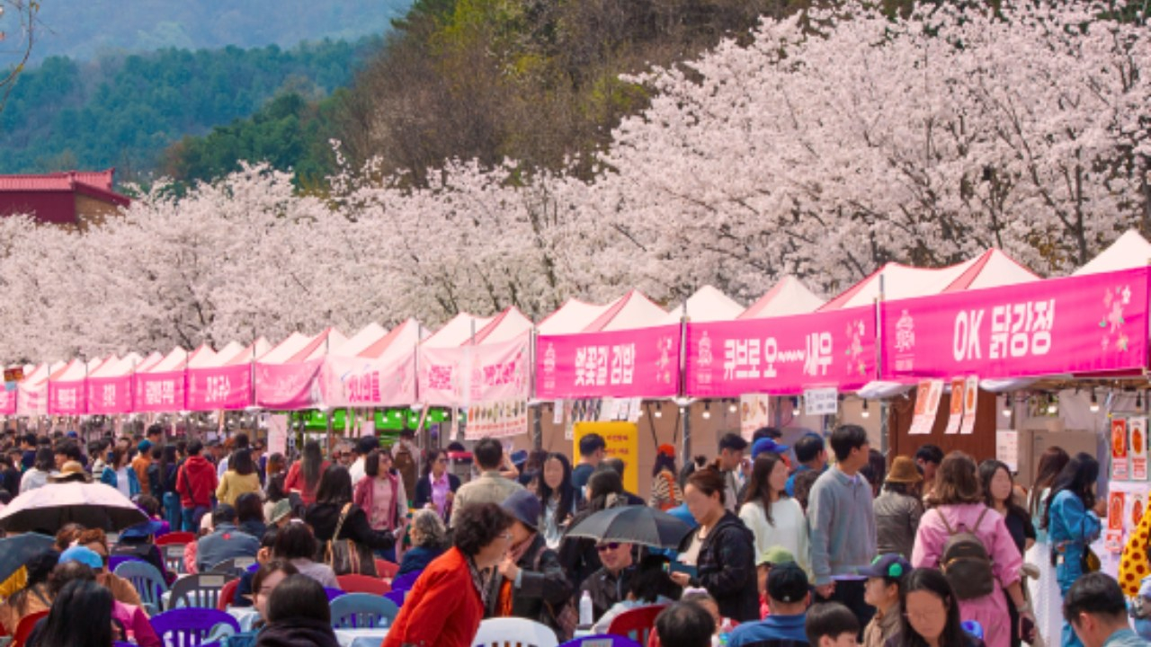 Tiket Begonia Bird Park/ Nami/ RailBike/ Morning Calm/ Happy Chowon ...