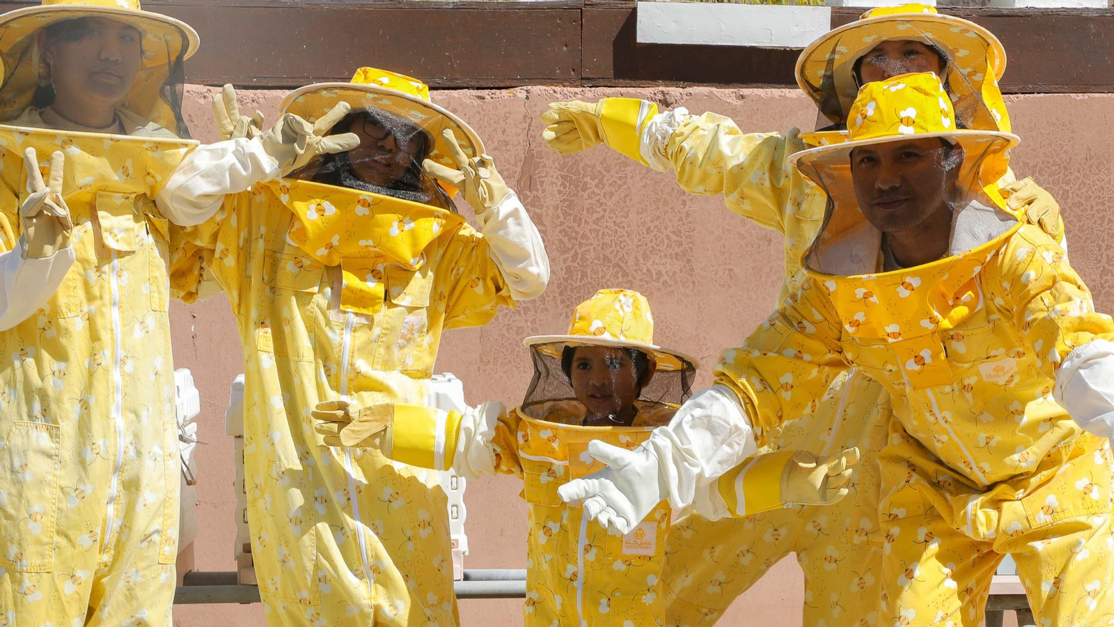 Hatta Honey Bee Garden Discovery Tour 50% Off Tour Package