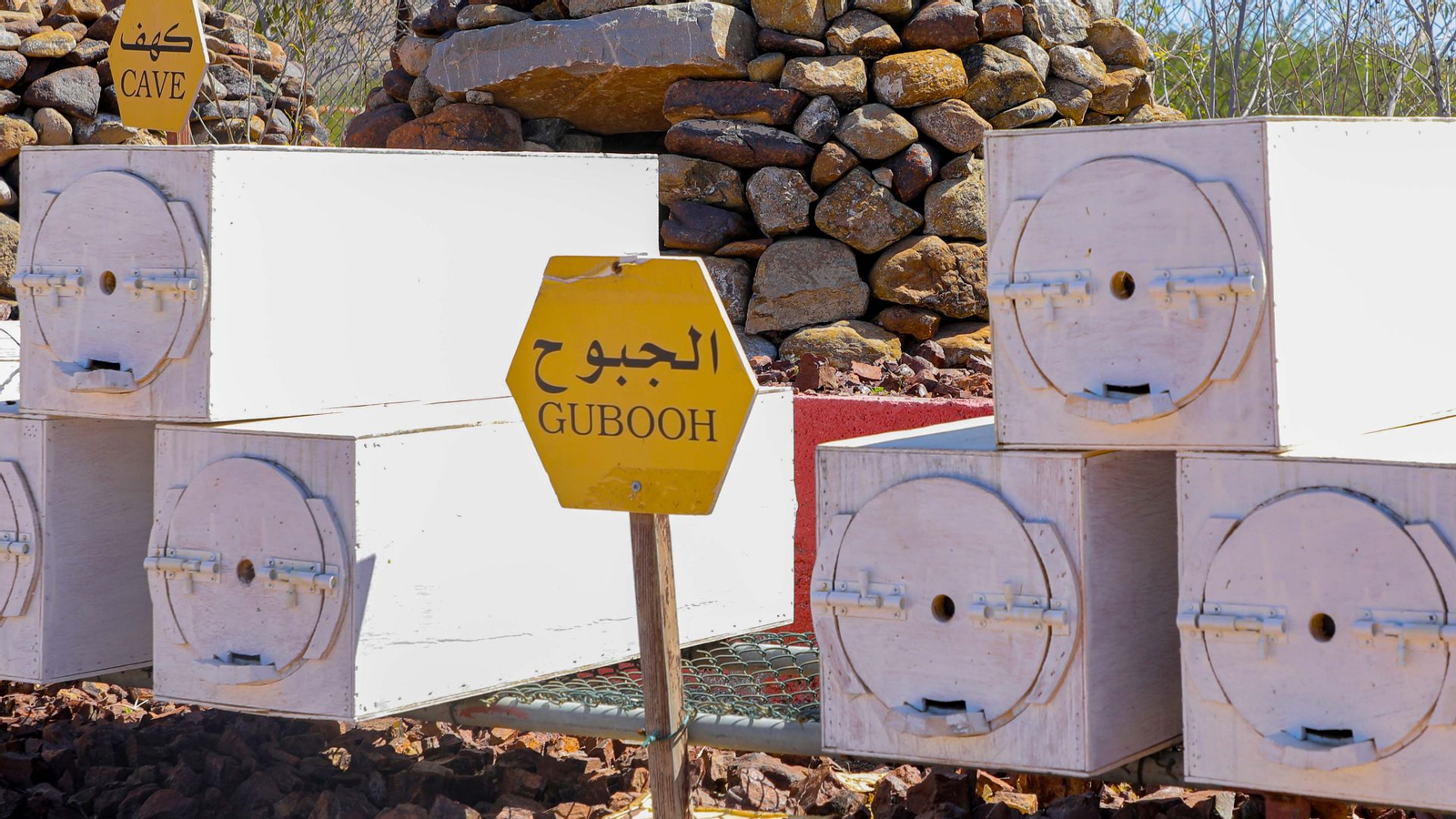Hatta Honey Bee Garden Discovery Tour 50% Off Tour Package