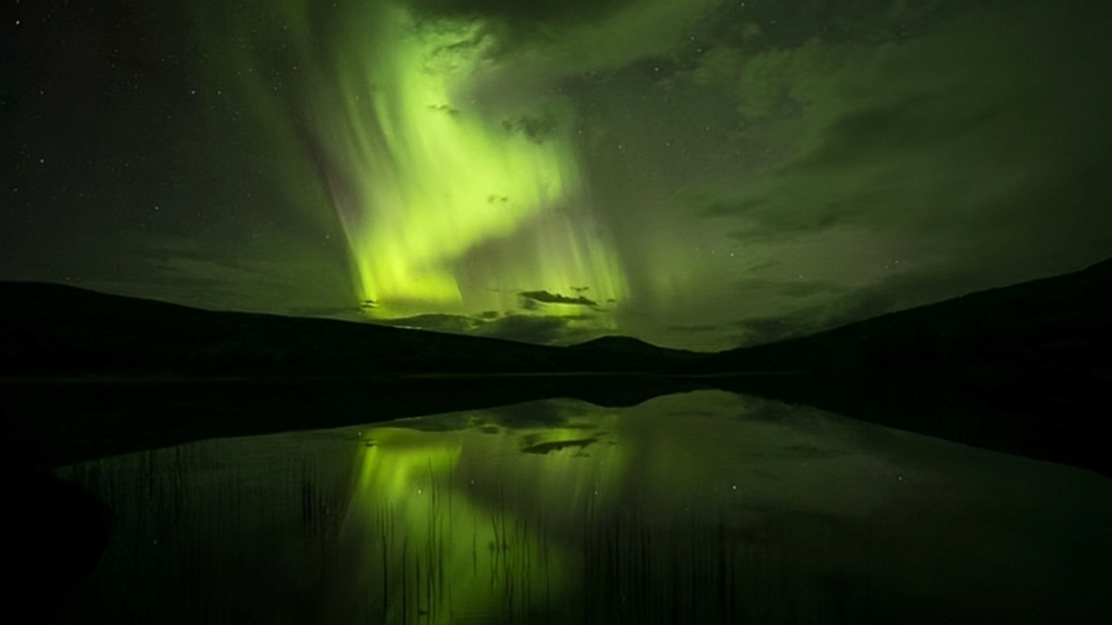 Get Ticket Northern Light evening fjord cruise tour in Tromso Promo ...