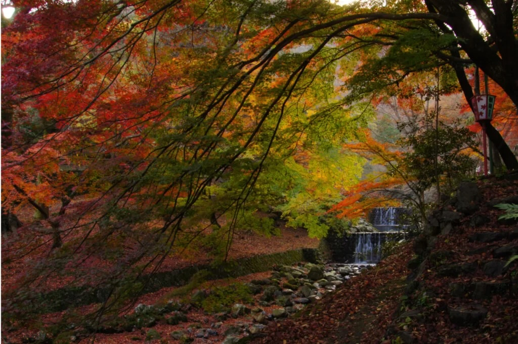 Tiket From Nagoya: Yoro Falls & Mt. Gozaisho Scenic Ropeway Harga Promo ...