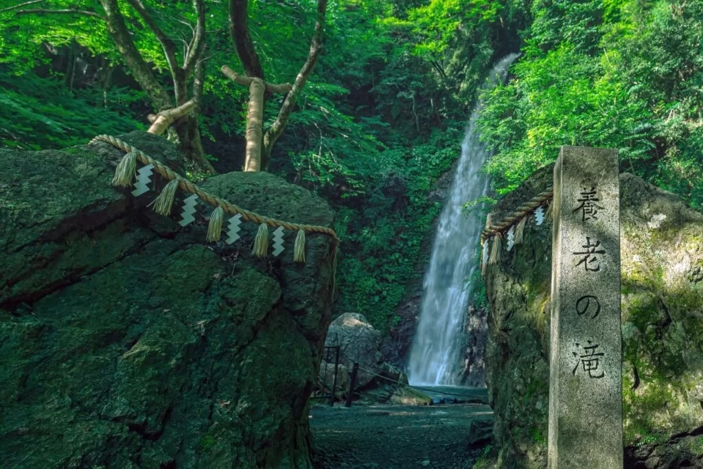 Tiket From Nagoya: Yoro Falls & Mt. Gozaisho Scenic Ropeway Harga Promo ...
