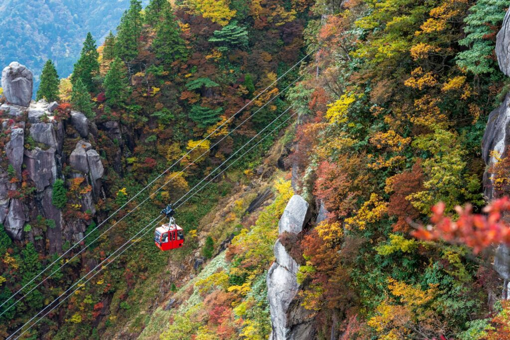 Tiket From Nagoya: Yoro Falls & Mt. Gozaisho Scenic Ropeway Harga Promo ...
