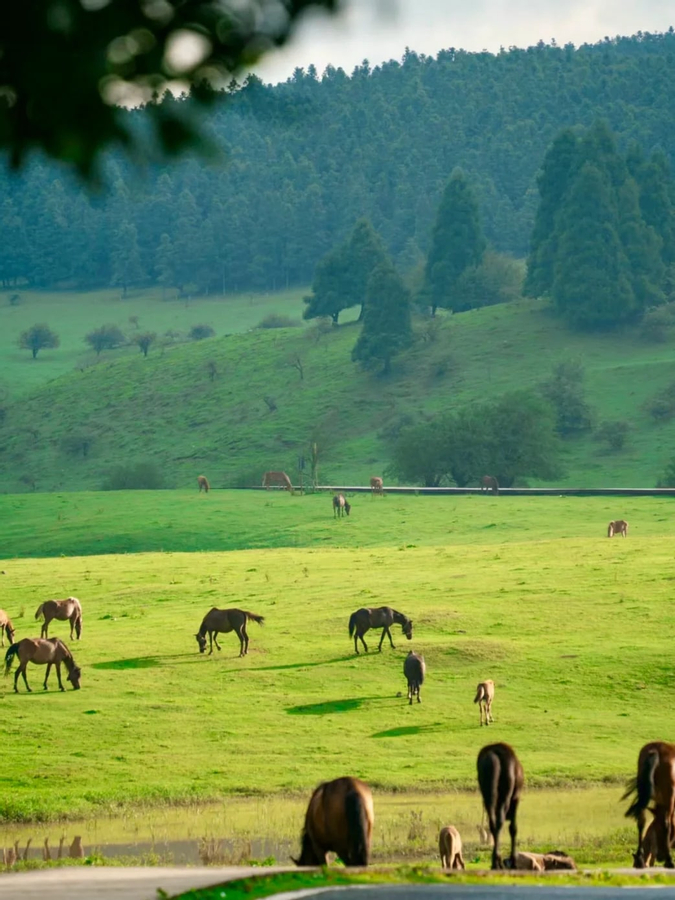 Get Ticket Chongqing Wulong 2-Day Tour (Natural Three Bridges ...
