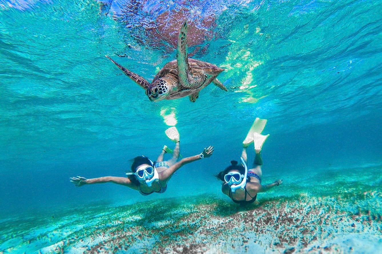 Tiket Okinawa: Miyako Island Sea Turtle and Coral Reef Snorkeling ...