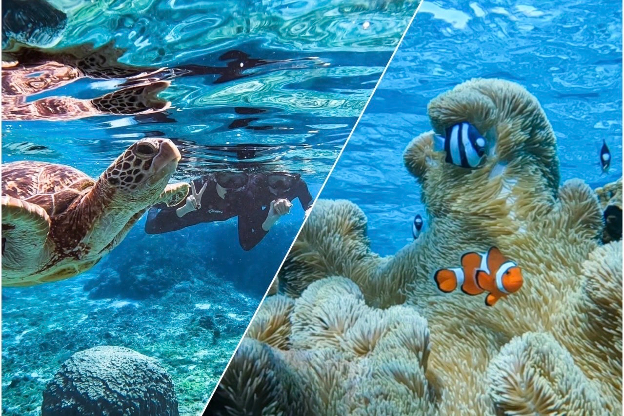 Tiket Okinawa: Miyako Island Sea Turtle and Coral Reef Snorkeling ...