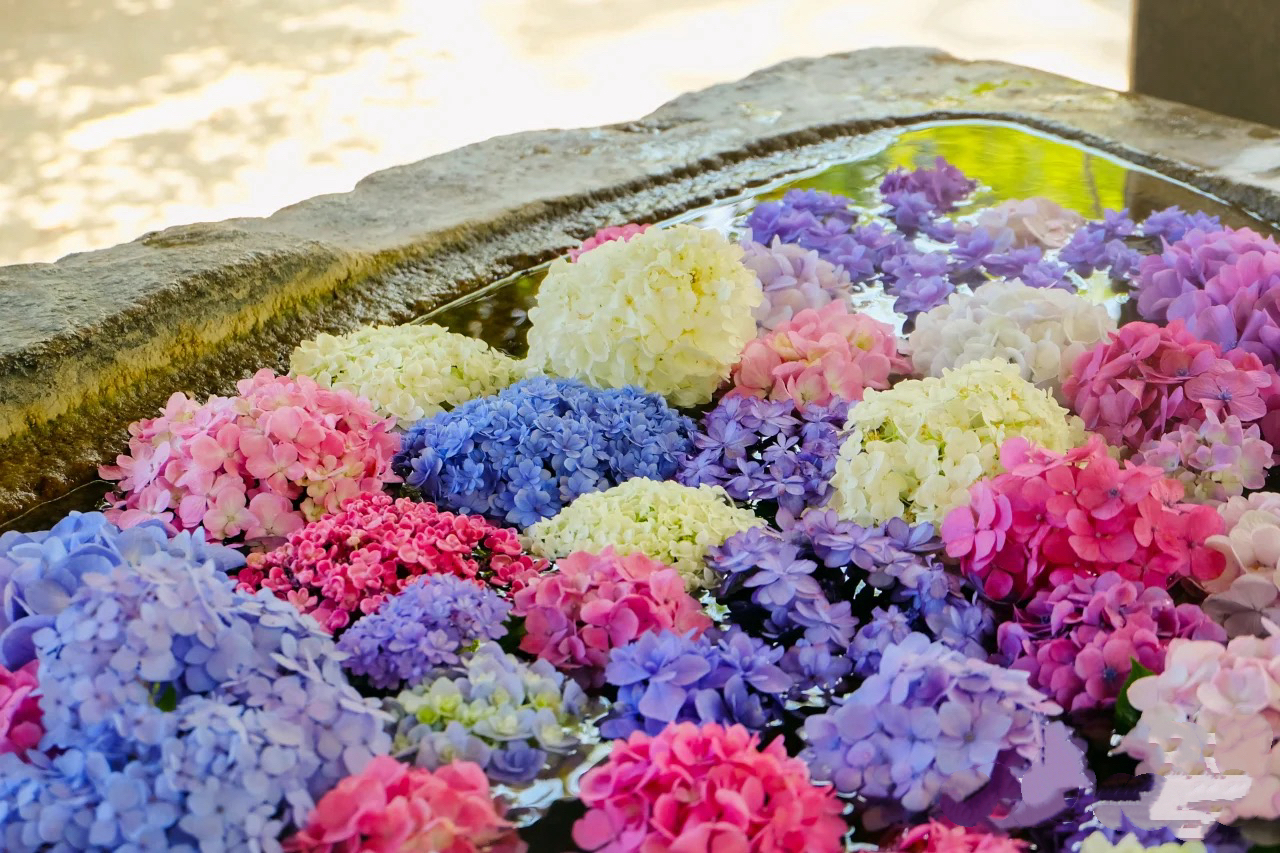 Tiket Kyushu｜One-day tour to Nanzoin, Dazaifu, Yufuin, and Umijigoku ...