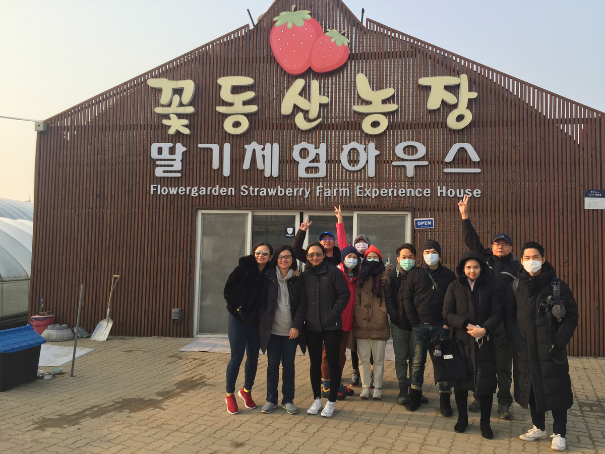 Tiket Strawberry Picking, Nami Island, and Gangchon Rail Bike Full-Day Tour from Seoul Harga ...