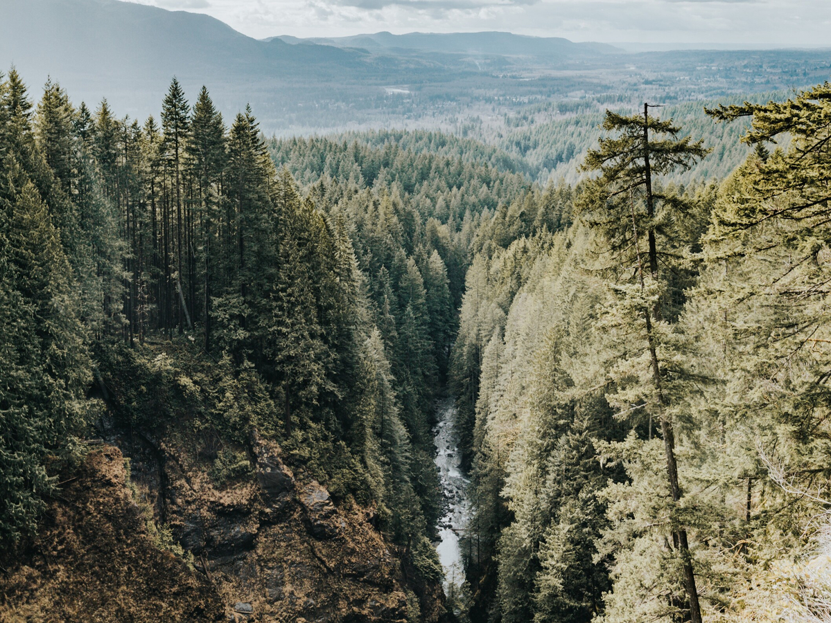 Tiket Wallace Falls Rainforest and Waterfall Hiking Tour From Seattle ...