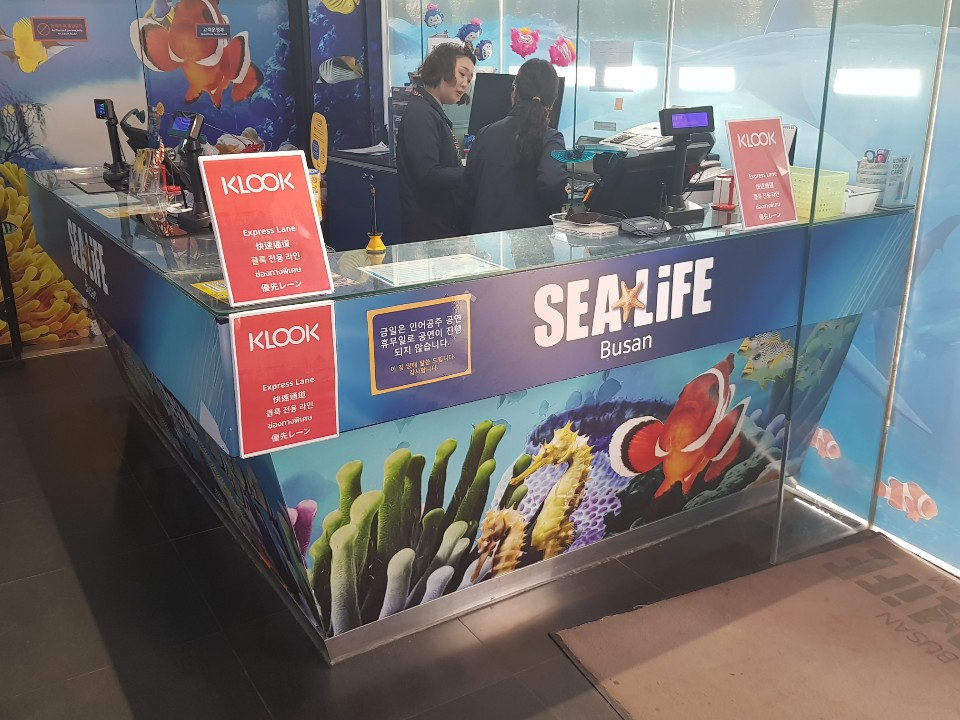 Tiket Busan SEA LIFE Aquarium / Brickman Admission Ticket Harga Promo ...