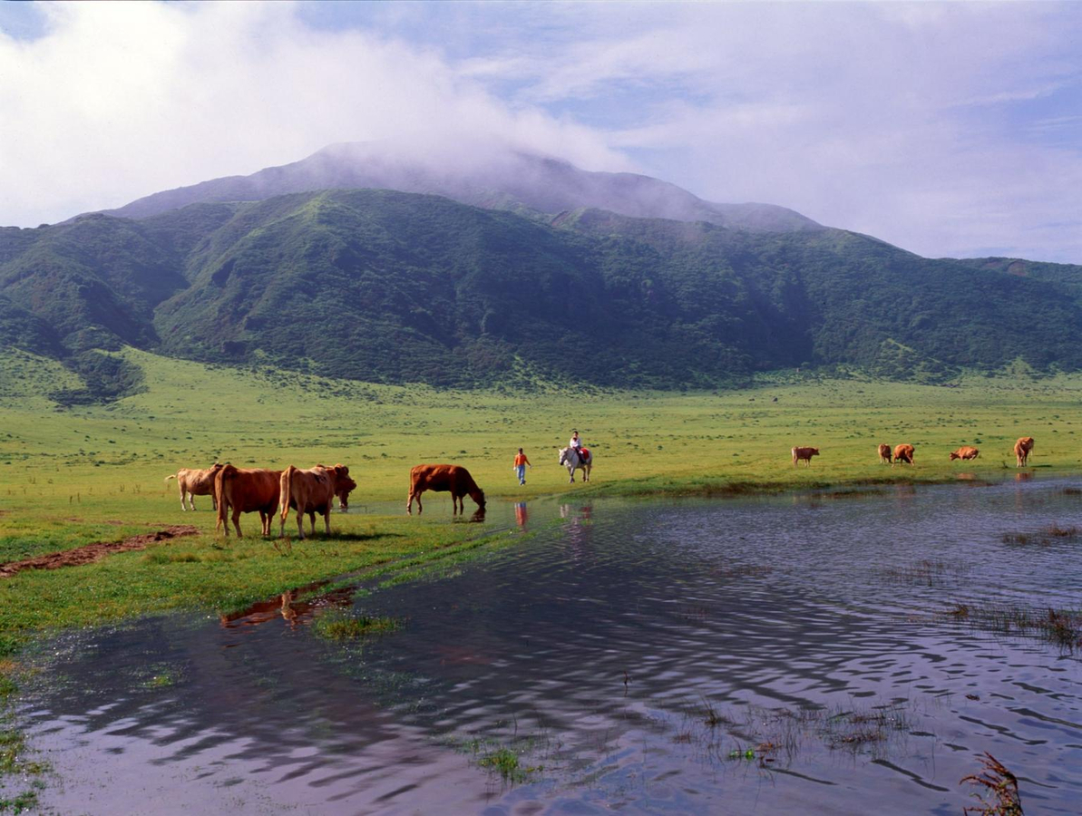 Tiket [Popular Must-Try] Kyushu Kumamoto Aso Day Trip｜Kumamoto Castle ...