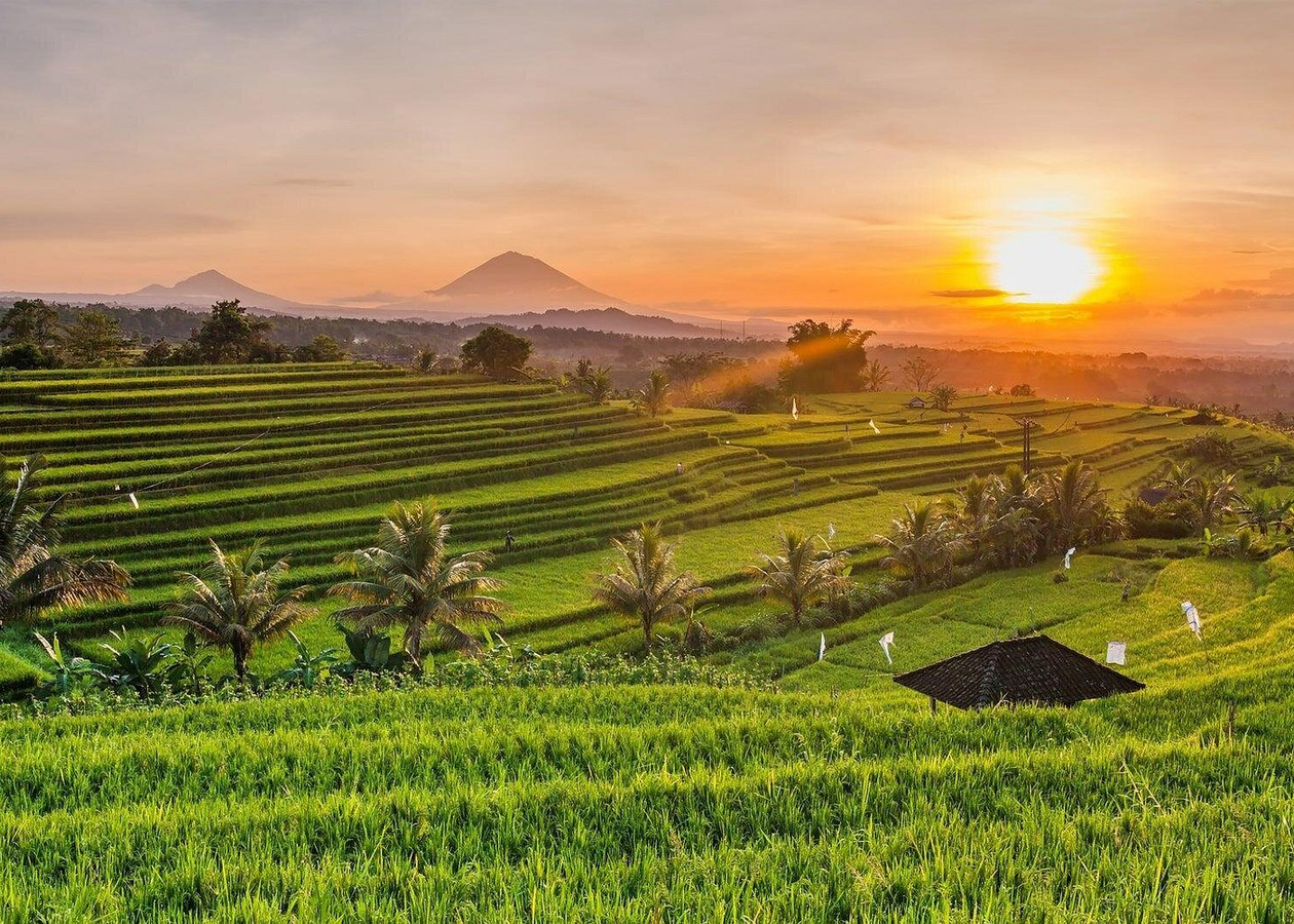 Tiket Bali Farm House & UNESCO World Heritage Sites Tour in Bali Harga ...