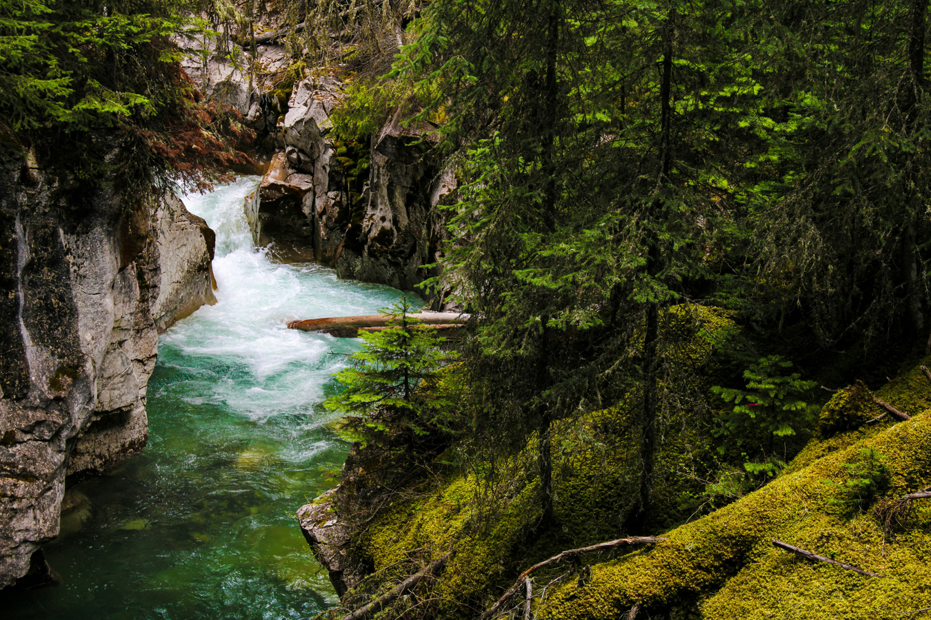 Banff area and Johnston Canyon Day Tour from Calgary 50% Off Tour Package