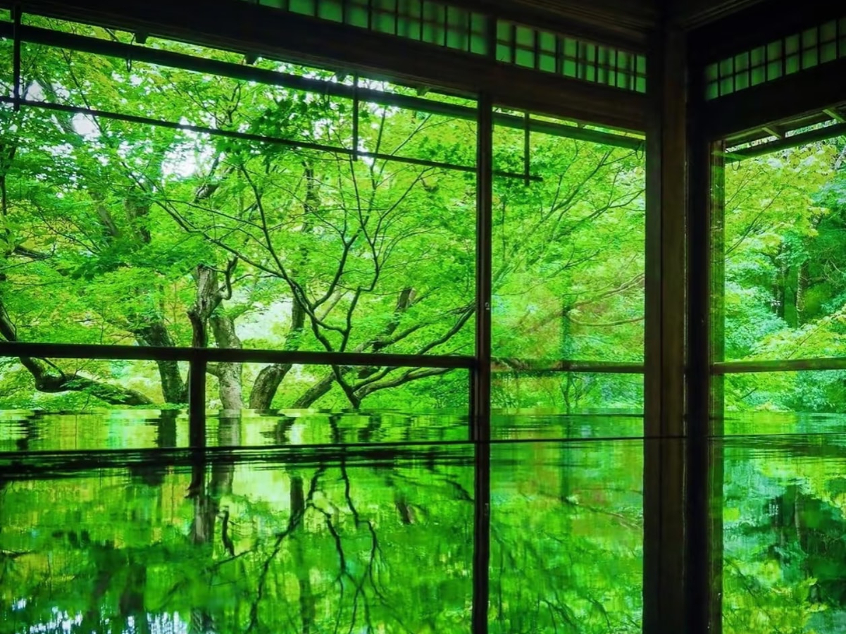 Tiket Kyoto Summer Cooling Tour Rurikoin Temple/Nanzenji Temple ...