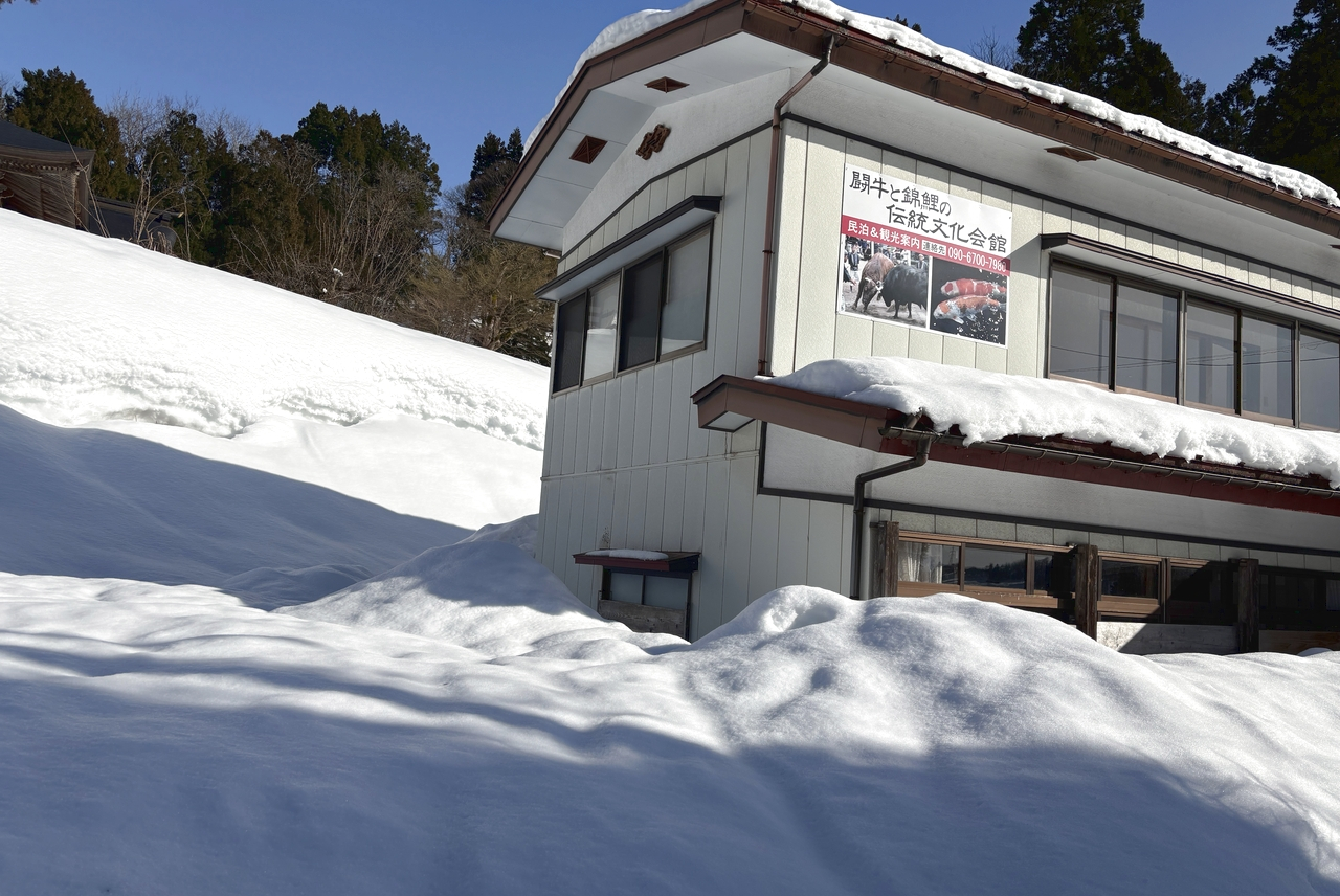 Tiket 1 Day Tour: Bullfighting and Nishikigoi Traditional Culture Hall ...