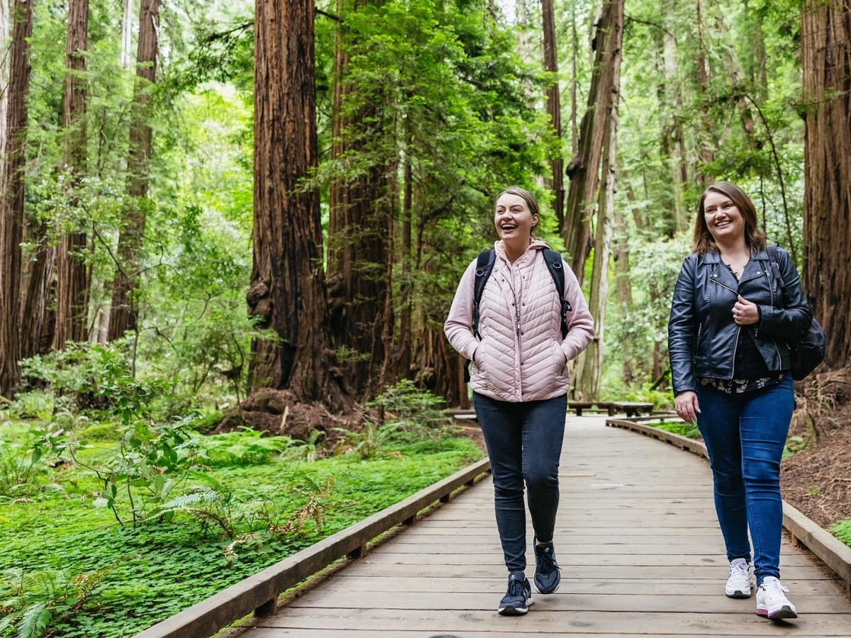 Tiket Golden Gate Bridge, Muir Woods and Sausalito Adventure Bike Tour ...