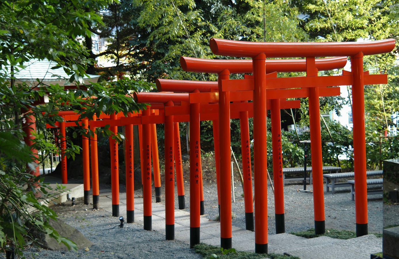 Tiket Mt.Omuro & Capybara Cuddles Tour from Tokyo Harga Promo - tiket.com