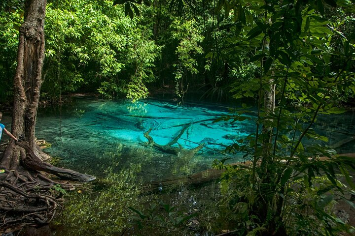 Krabi Jungle Tour:Krabi Hot Springs Waterfall,Emerald Pool and Tiger ...