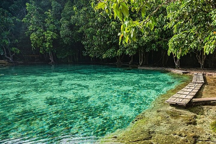 Krabi Jungle Tour:Krabi Hot Springs Waterfall,Emerald Pool and Tiger ...