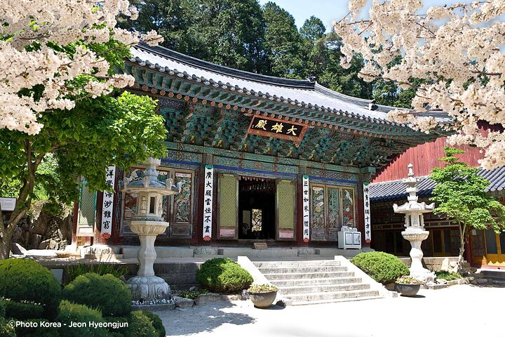 Tiket Donghaksa Temple Cherry Blossom and Jeonju Hanok Village Harga ...