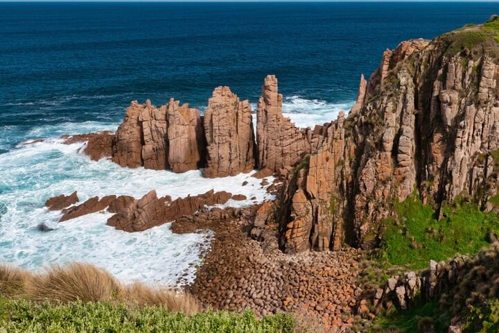 Tiket Phillip Island Penguin Parade and Wildlife Tour from Melbourne ...