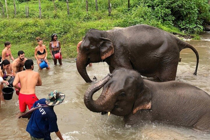 Tiket 2D1N: ATV Ride, Elephant Sanctuary, Overnight in Stylish Dome ...