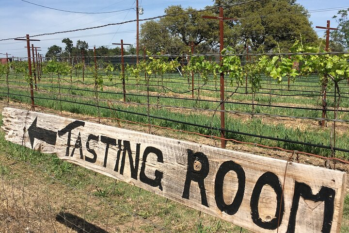 Get Ticket Fredericksburg Hill Country Aficionado Wine Tour from San ...