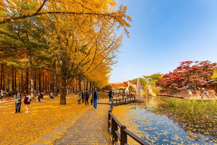 Tiket Nami Island One Day Trip with Gangchon Rail Bike from Seoul Harga ...