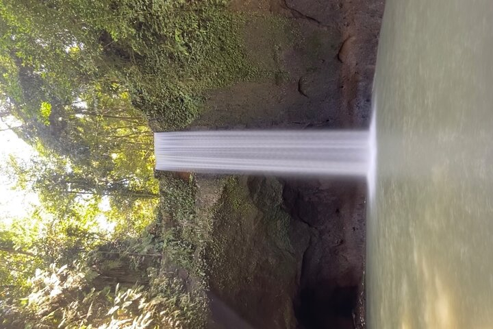 Tiket Ubud Top Waterfall Surounding with Rice Terrace All Include Harga ...