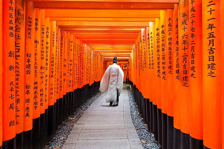 Get Ticket Osaka/Kyoto: Arashiyama, Fushimi Inari & Nara Park Day Trip ...