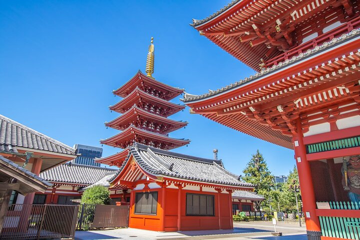 Get Ticket Tokyo Morning Tour Meiji Shrine, Asakusa and Local temple ...