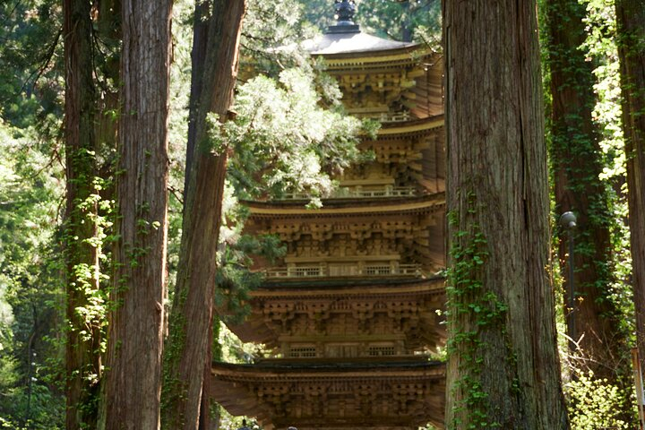 Tiket Private Mt. Fuji & Hakone Day Tour – Scenic Views & Hot Springs ...