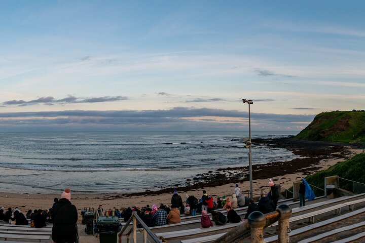 Get Ticket Phillip Island Penguin Parade Day Tour from Melbourne Promo ...