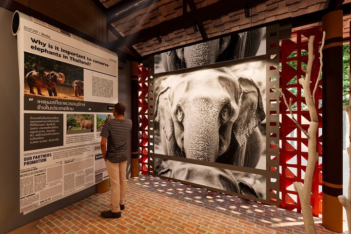 Tiket Koh Samui Elephant Home Sanctuary and the first Elephant Museum ...
