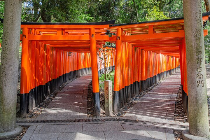 Get Ticket Osaka/Kyoto: Arashiyama, Fushimi Inari & Nara Park Day Trip ...