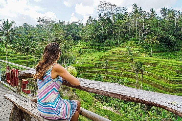 Tiket Private Ubud Tour: Temples, Rice Terraces & Hidden Waterfalls ...