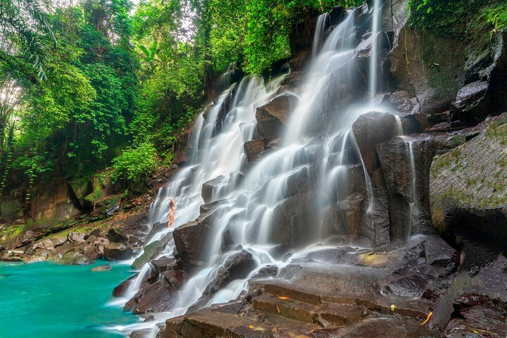 Get Ticket Ubud Private Tour: Waterfalls, Temple and Rice Terraces ...