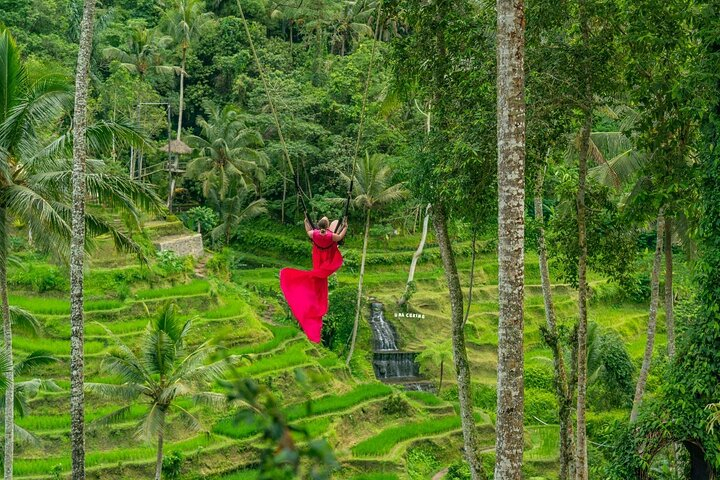 Get Ticket Ubud Private Tour: Waterfalls, Temple and Rice Terraces ...