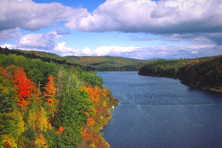 Tiket Fall Foliage Scenic Day Trip to Vermont and Western MA with Stops ...