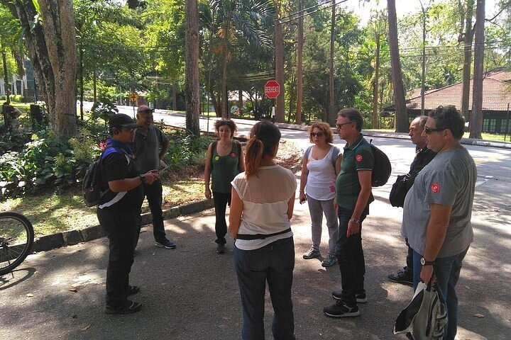 Forest Research Institute Malaysia FRIM Rainforest Private Tour 50% Off ...