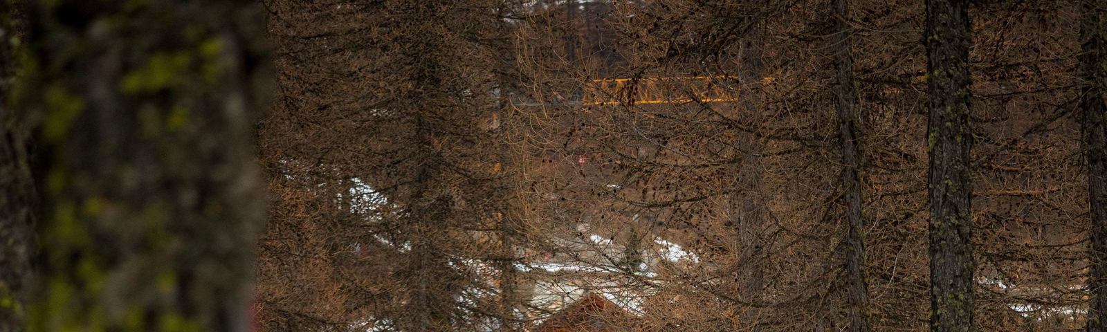 Tiket Panoramic snowshoeing in Bousson: one hour from Turin Harga Promo ...