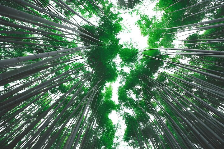 Get Ticket Private SightseeingTour to Kyoto (Green number plates) Promo ...