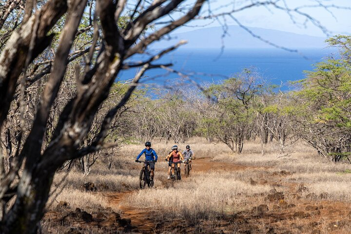 Tiket Exclusive E-mountain bike tour on a private ranch in Wailea Harga Promo - tiket.com
