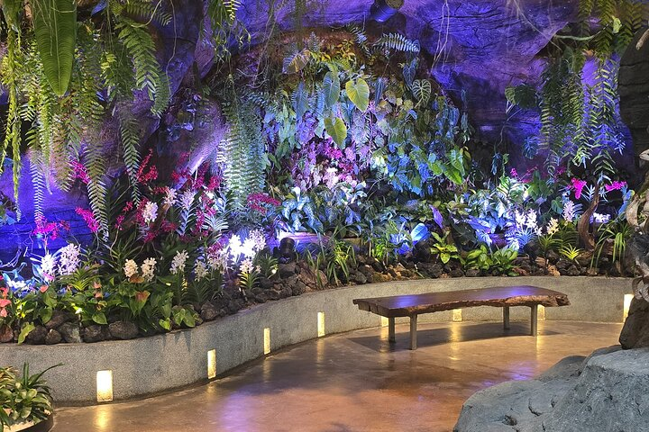 Tiket 5 Star Half Day Tour with Open Top Ferry Islands Cruising Harga ...