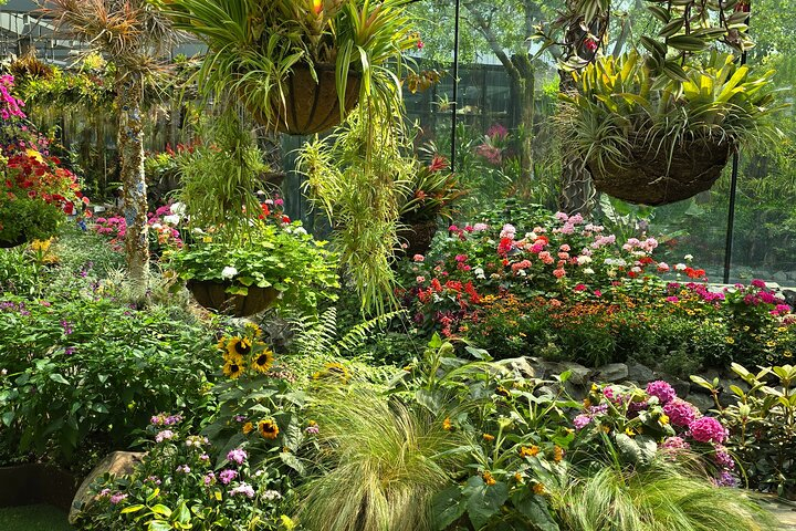 Tiket 5 Star Half Day Tour with Open Top Ferry Islands Cruising Harga ...