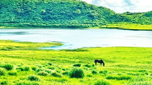 Tiket Kumamoto Castle, Aso Crater, Kusa-Senri Adventure with Horse ...