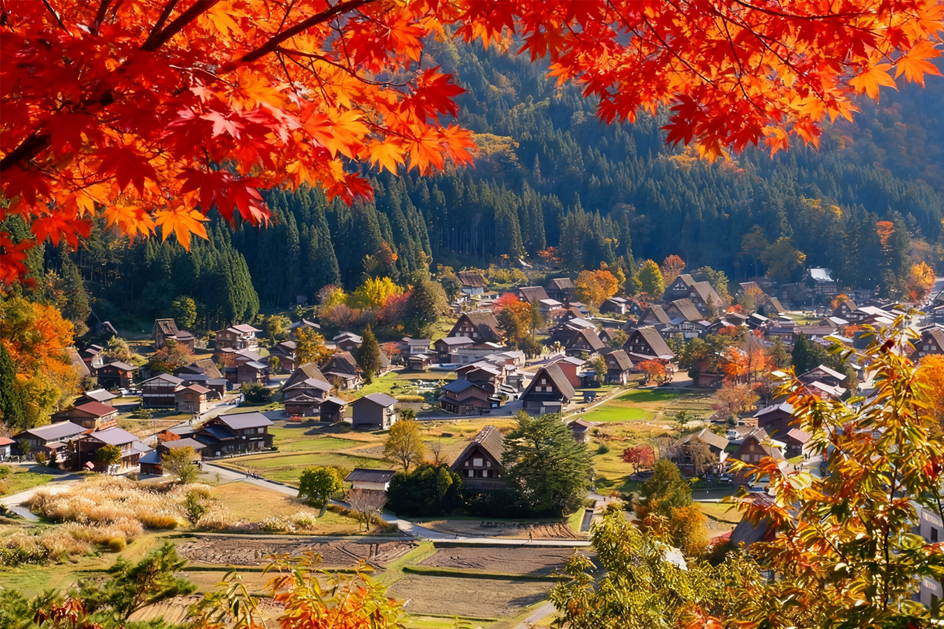 Get Ticket Shirakawa-go & Hida Takayama: Miyagawa Morning Market ...
