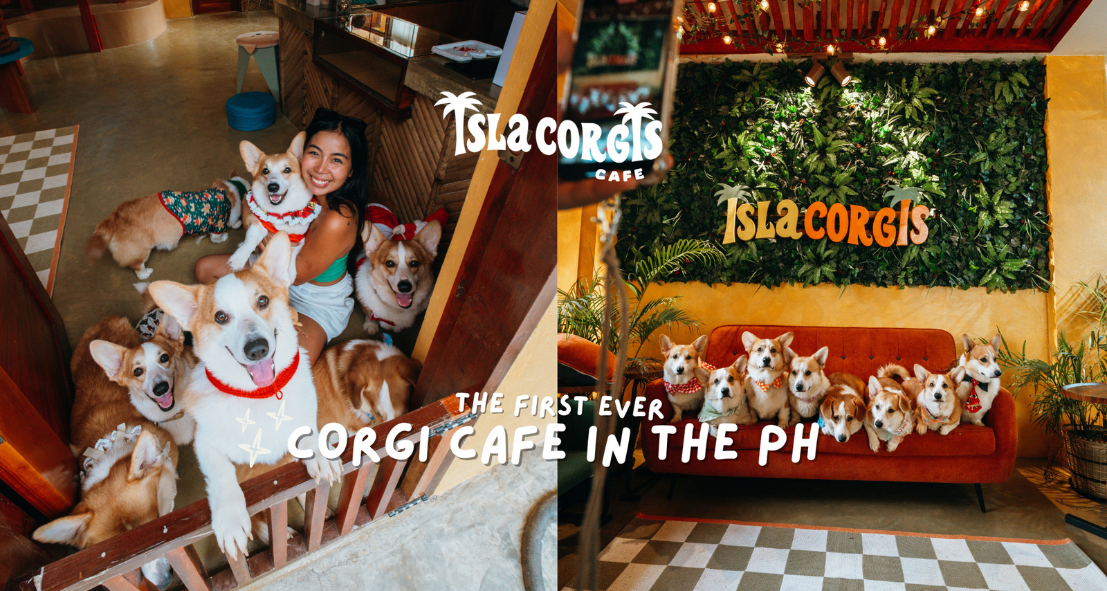 Get Ticket Isla Corgis Cafe Siargao Promo Prices - tiket.com