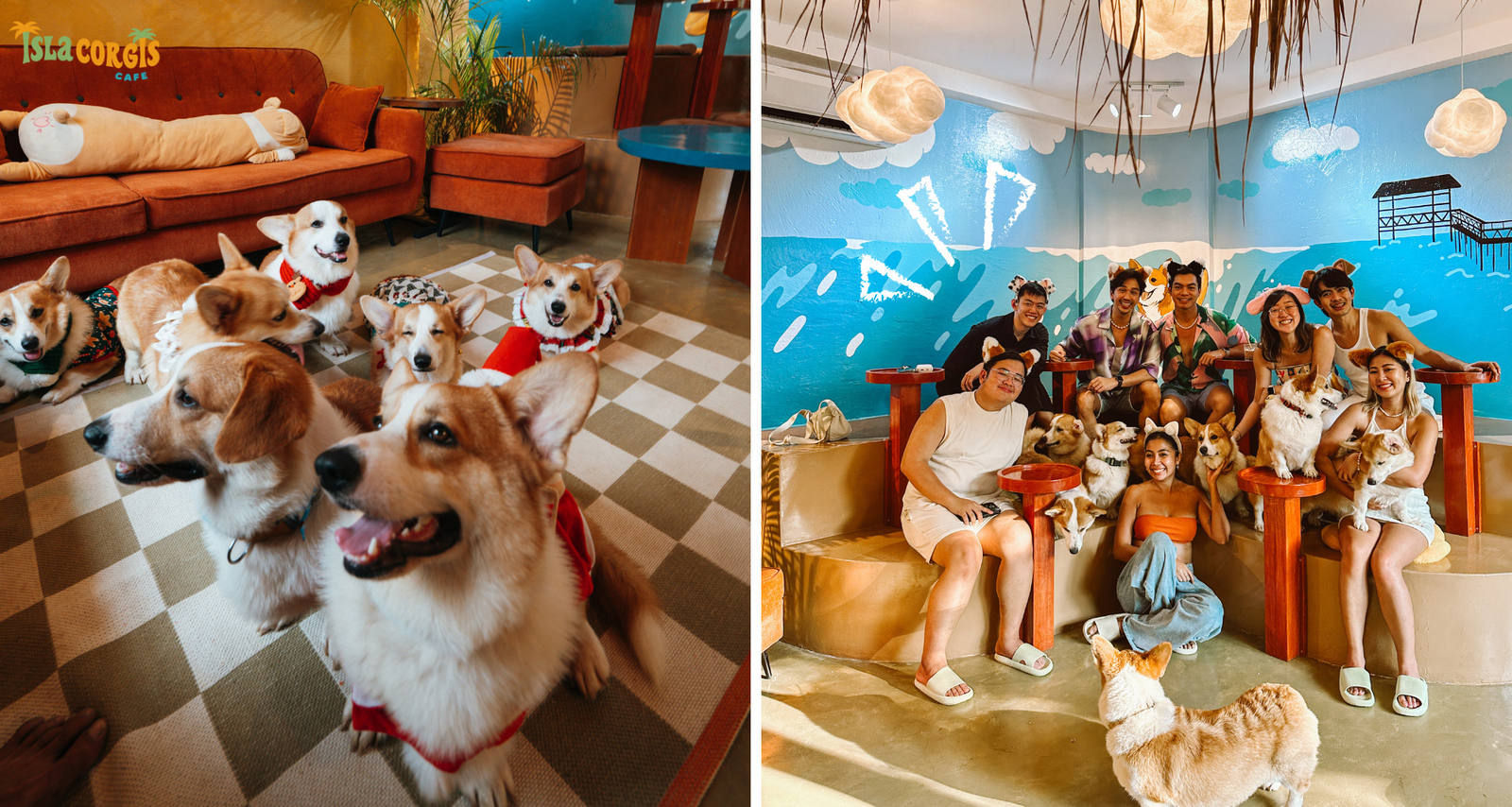 Get Ticket Isla Corgis Cafe Siargao Promo Prices - tiket.com
